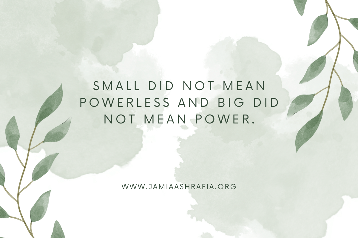 SPARROWS AND KITTENS(Small did not mean powerless) - Jamia Ashrafia Lahore